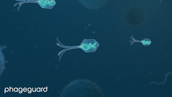 Aan tafel met Phageguard - RCT Gelderland